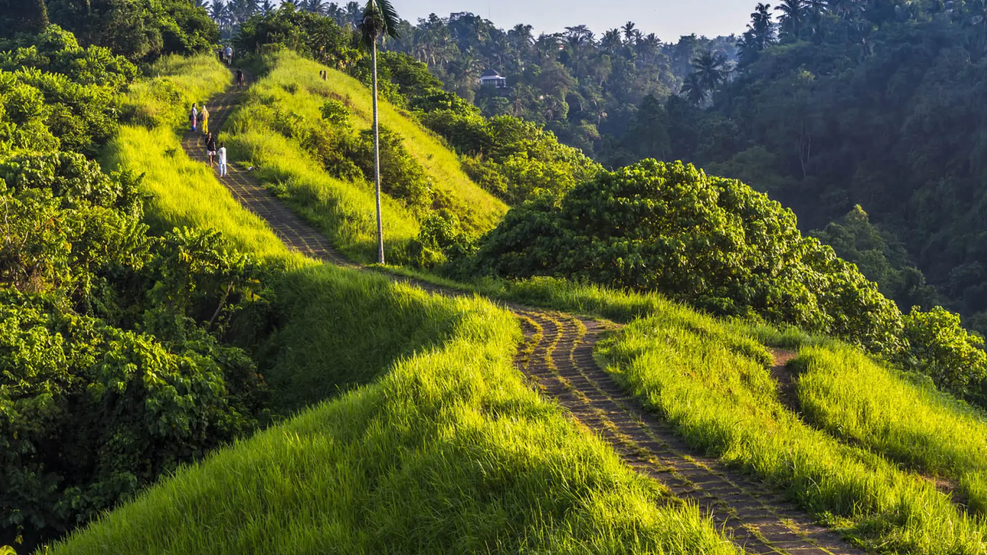 5 FREE THINGS TO DO IN UBUD - Adiwana Monkey Forest